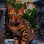 Which Animals Belong To Cat Family - Animallot