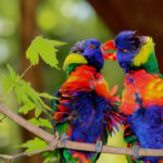 Animals Who Are Gay - Animallot