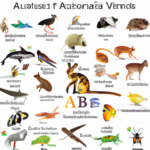 Australian Animals A-Z List - Animallot