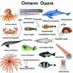 List Of Ocean Animals A Z - Animallot