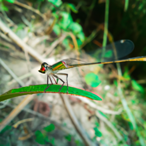 Animals That Fly - Animallot